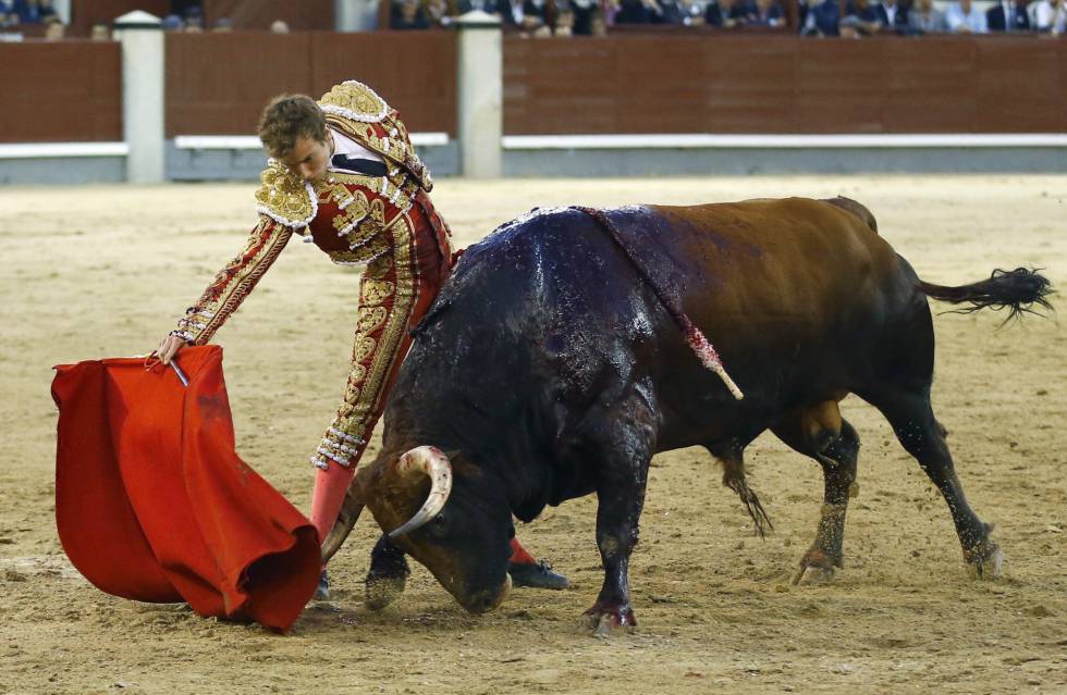 Román, un fallido derroche de entrega | Cultura | EL PAÍS