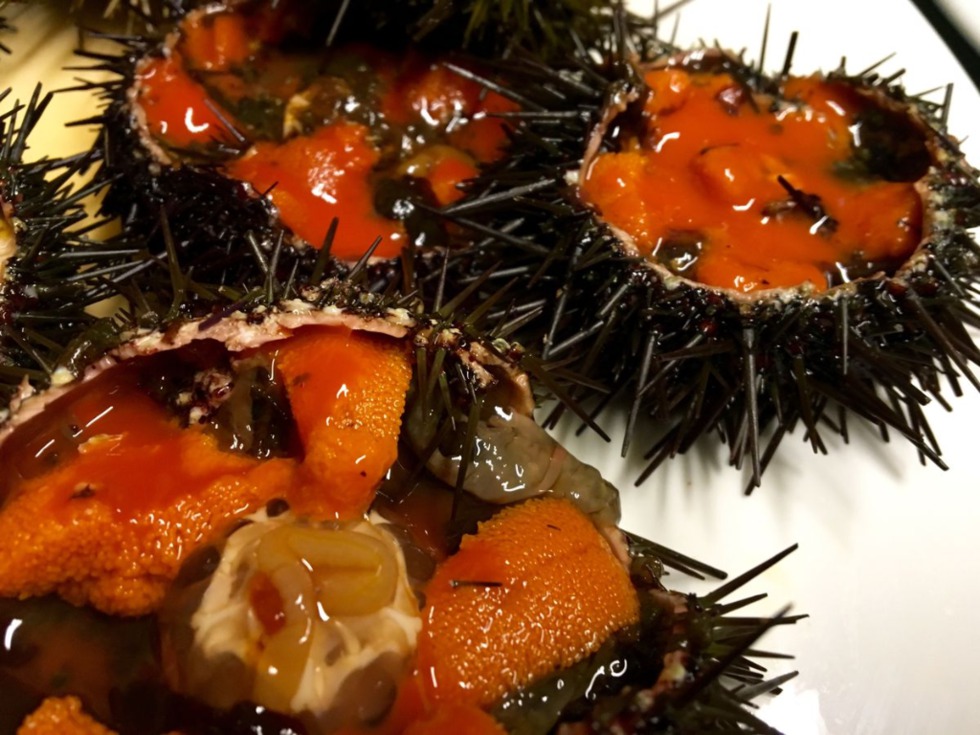 Oricios, esencia del mar | Gastronotas De-Capel | EL PAÍS